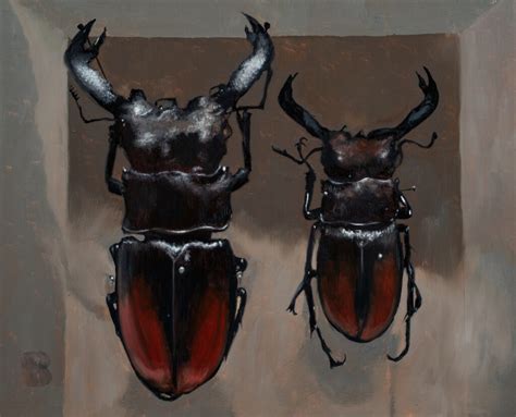 Hexarthrius Deyrollei Coso Copley Society Of Art