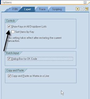 SAP Help By Kevin Showing Keys In Dropdown