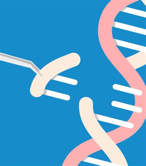 Crispr Editor Can Also Be Used For Rna Editing Ghc Genetics