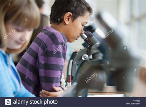 Middle School Microscope At Carmella Vanzant Blog