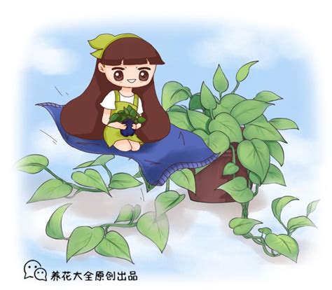 8個養花習慣，中了5個就是養花大神，你符合幾條？ 每日頭條