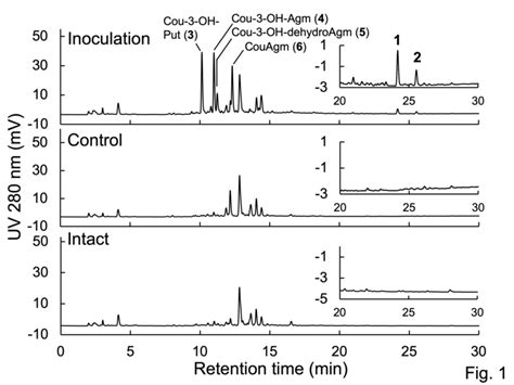 High Performance Liquid Chromatography Hplc Analysis Of Extracts From Download Scientific