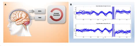 Figure 2 From Closed Loop Neuroscience And Non Invasive Brain