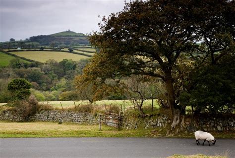 Brentor View Photos Of Devon England Places To Travel England