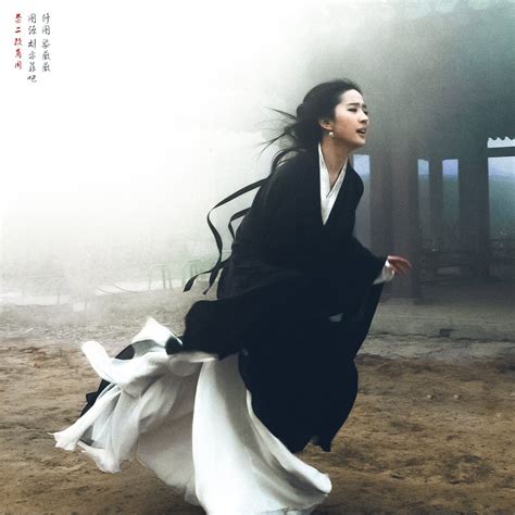The Assassins Liu Yi Fei