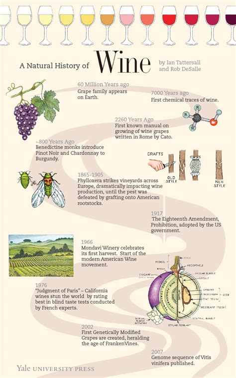 A Timeline Of Wine Yale University Press