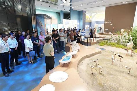 百位传媒“大咖”走进中国黄海湿地博物馆盐城候鸟国际