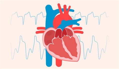 Dysentery What Is Causes Symptoms Diagnosis And Prevention
