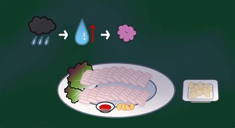 비가 오는 날에는 왜 생선회를 먹지 말라는 걸까