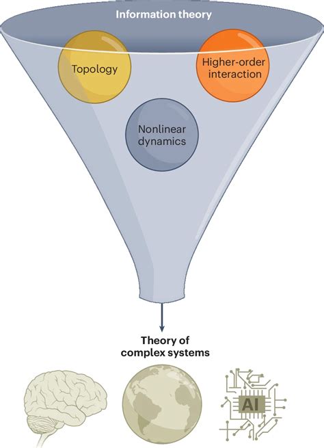 Topology Shapes Dynamics Of Higher Order Networks Lorenzo Giambagli