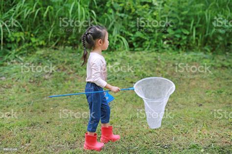 귀여운 아시아 소녀는 곤충 여름에 그물을 필드에 밀 짚 모자를 착용 나비에 대한 스톡 사진 및 기타 이미지 나비 아이 인터넷 Istock