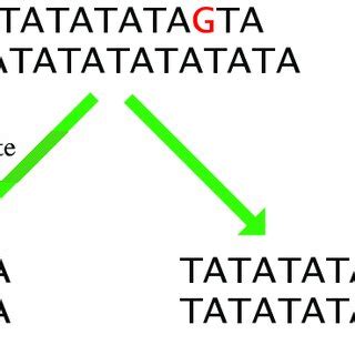 The Appropriate Alignment For The Imperfections Download Scientific Diagram