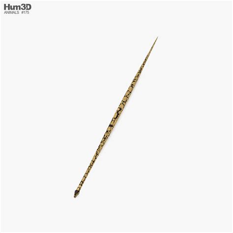 Common Python Low Poly Rigged 3d Model Download Reptile On