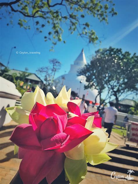 කතරගම කිරි වෙහෙර 🙏 Katharagama Kiri Ceylon Traveling