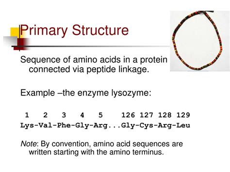 Ppt Myoglobin And Hemoglobin Powerpoint Presentation Free Download