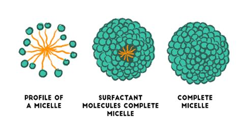 Science For Product Makers The Difference Between Micelles Emulsions