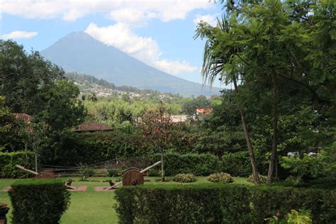 Guatemala Antigua Finca Filadelfia Convoy Road Coffee Roasters