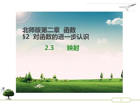 2 2 3映射 word文档在线阅读与下载 无忧文档