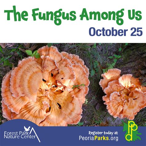 The Fungus Among Us Peoria Park District