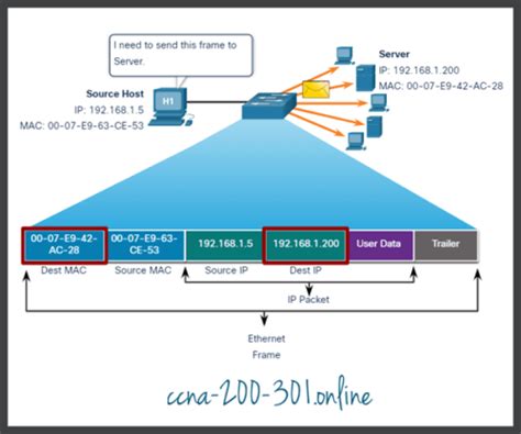Ethernet Mac Address Ccna 200 301