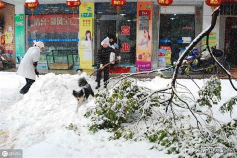 降雪過多引發災害 每日頭條