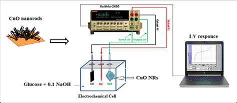 Schematic Illustration Of Non Enzymatic Glucose Sensor Electrode Download Scientific Diagram