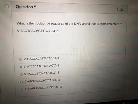 Solved Question Pts What Is The Nucleotide Sequence Of Chegg