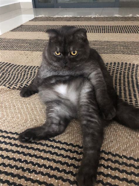 Free From Ssris Medium