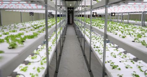 남서울대 스마트팜 실습농장 개소식물공장 등 5개 동 갖춰