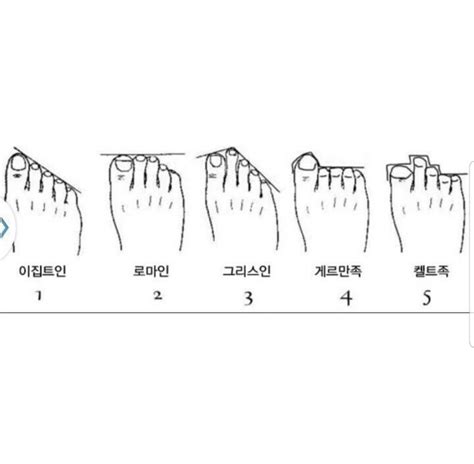 사람마다 다른 발가락 모양 인스티즈 Instiz 이슈 카테고리