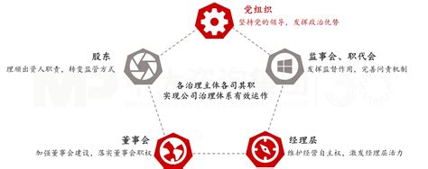 组织管控：公司治理 组织管控 中大咨询
