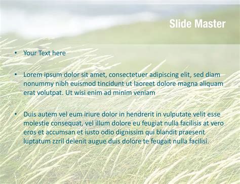 Grass PowerPoint Templates Grass PowerPoint Backgrounds Templates For PowerPoint