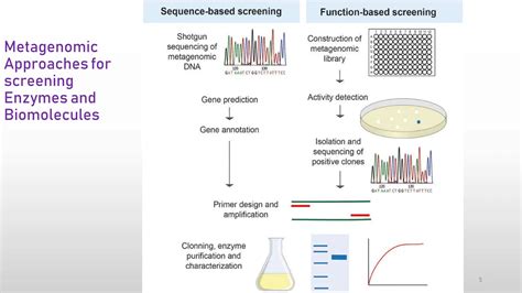 Synthetic Biology Approaches To Identify Enzymes From Metagenome By
