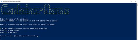 How Can I Create Docker Container Using New Bccontainerwizard