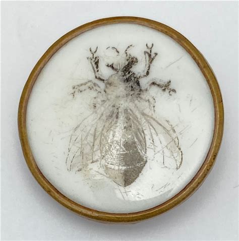 Lot Detail Fly Button