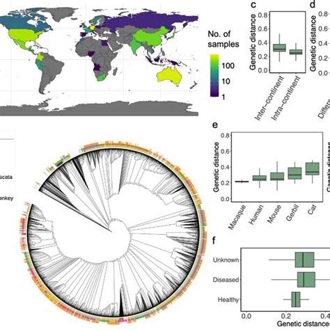 Global Genetic Structure Of H Pylori Genomes A Geographic