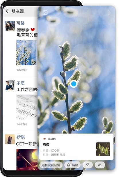 轻松识物 华为官网