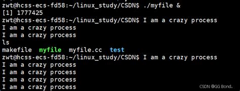 【linux探索学习】第二十七弹——信号（上）：linux 信号基础详解linux 用户信号 Csdn博客