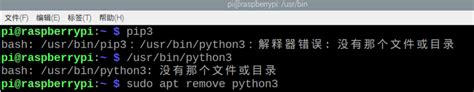 2021 09 06树莓派终端python3无法查找版本问题树莓派输入python指令不显示python版本怎么办 Csdn博客