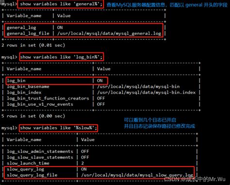 Mysql备份与恢复详解：全面指南与实战操作 Csdn博客