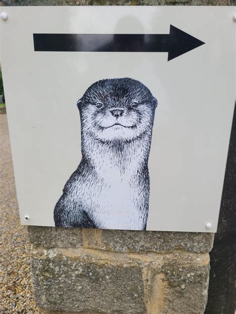 Wunk Says Go Right R Wunkus