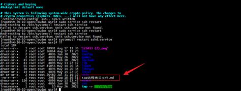 Scp命令cpolar内网穿透工具实现远程向linux服务器发送文件cpolar Scp Csdn博客