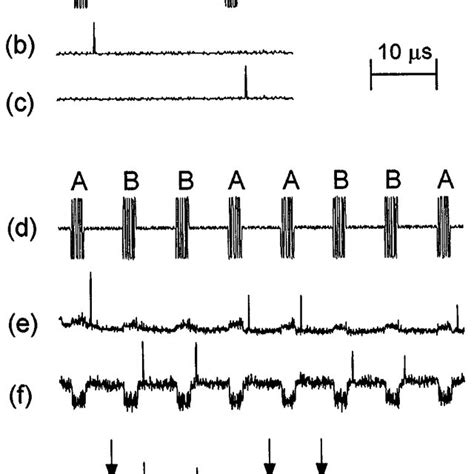 Single Event Recordings Of The Spatial Routing Process A C Download Scientific Diagram