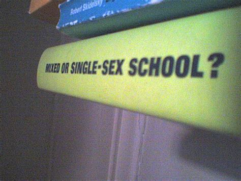 The Single Sex School Debate Europe And Me