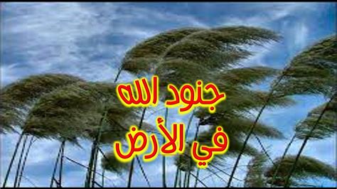 جند الله في الأرض Youtube
