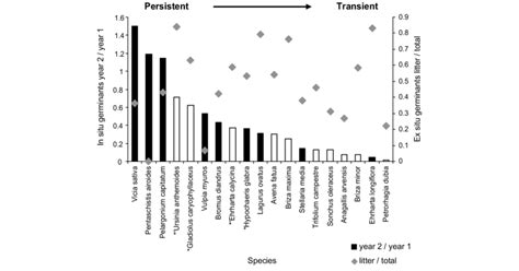Aspects Of The Spatial And Temporal Dynamics Of Seeds Of Introduced