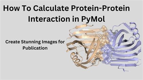 How To Calculate Protein Protein Interactions In Pymol Youtube