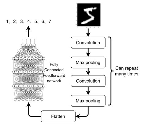 卷积神经网络 生信小木屋