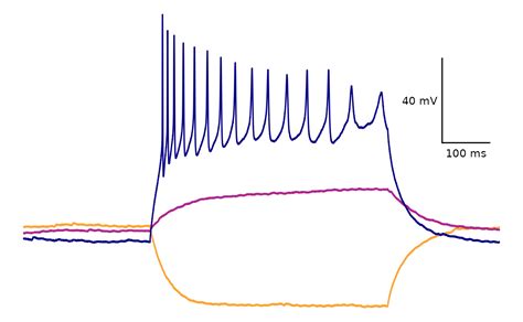 Action Potential Analysis • Patchclampplotter