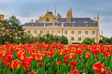 Lednice Palace Czech Republic Stock Image Colourbox